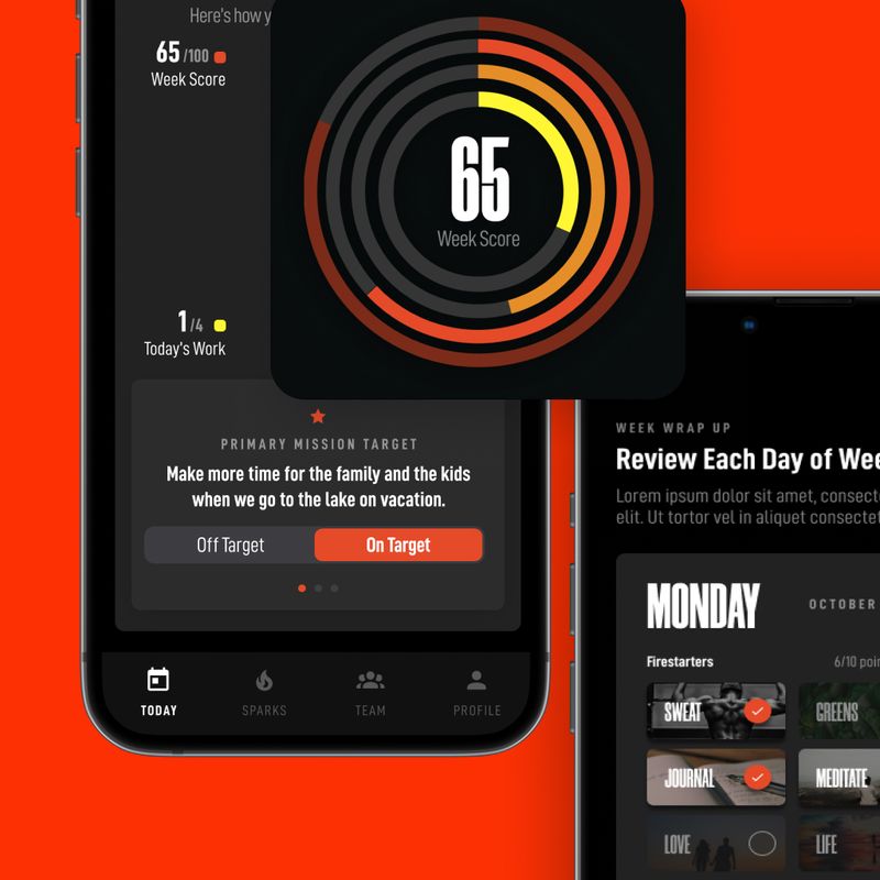 Top Software Commercialization Solution | Maximize Revenue with Iron Forge Expert Services