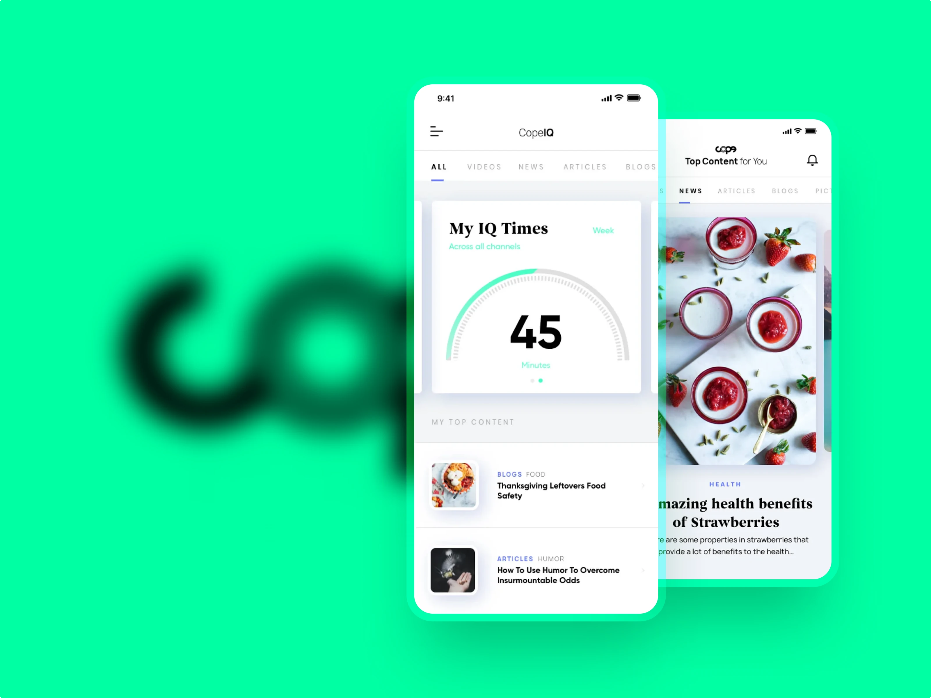 Iron Forge Development Case Studies