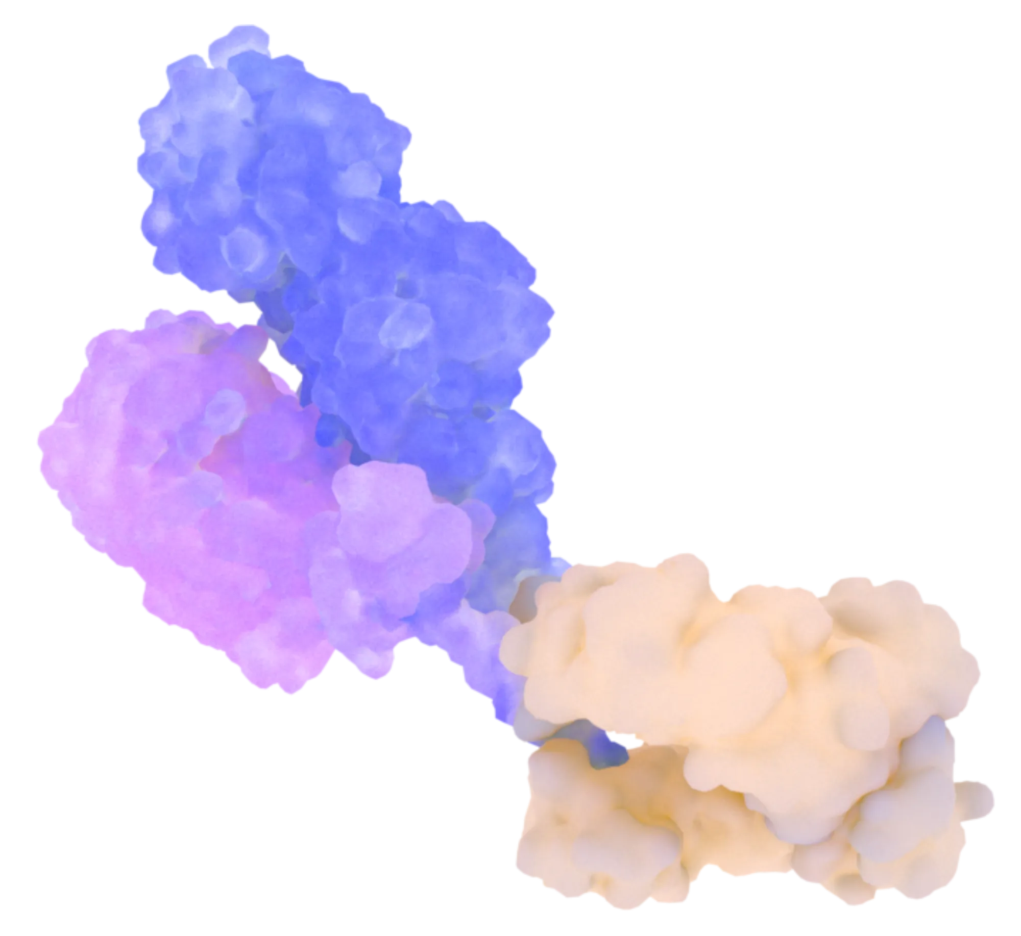 Inozyme Pharma | Therapies for Patients with Rare Diseases