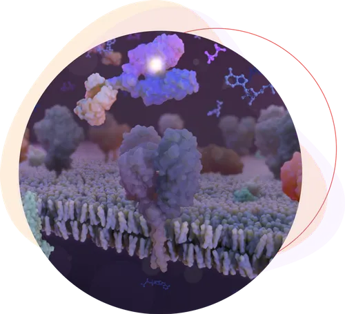 Inozyme Pharma | Therapies for Patients with Rare Diseases