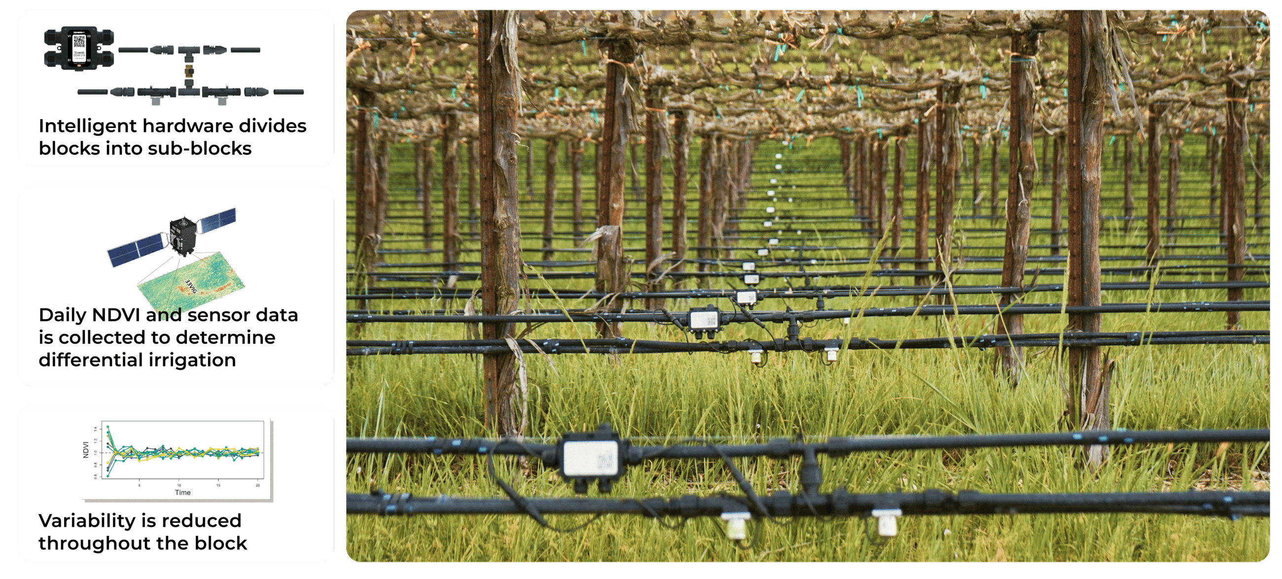 Verdi for Orchards | Modern automation tools for every farmer