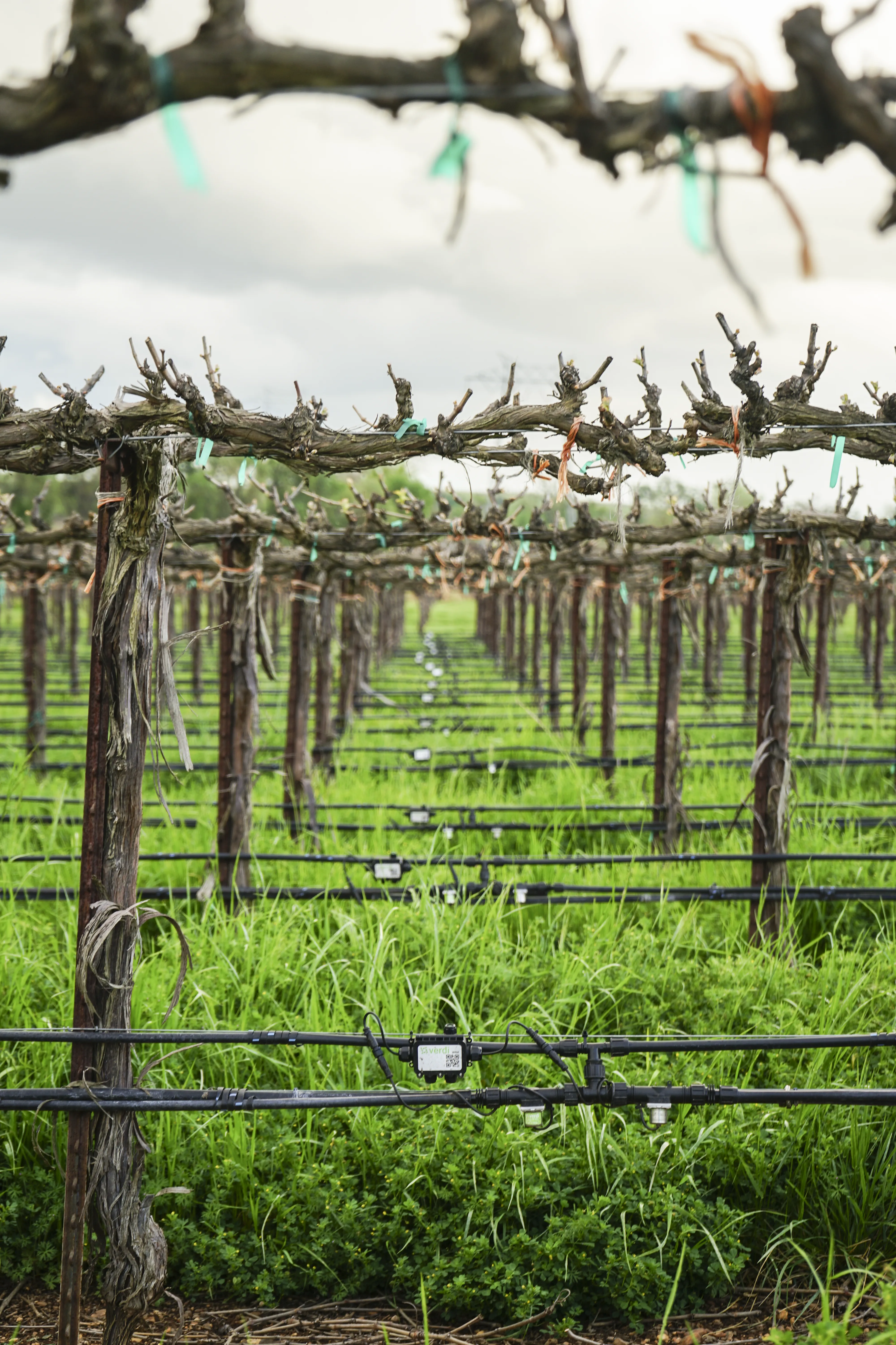 Verdi | Modern automation tools for every farmer