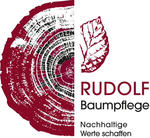 Baumspezialist, Baumprüfung, Baumkletterer, Baumfällung, Berlin