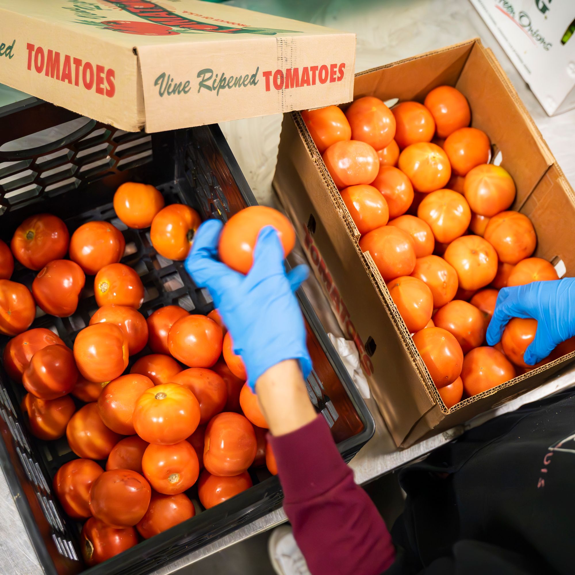 About | Sharing Excess