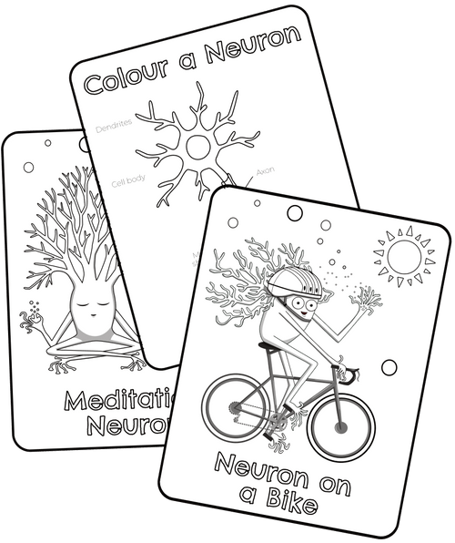 The Brain Colouring Book