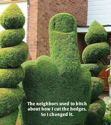 Neighbor memes to make you laugh