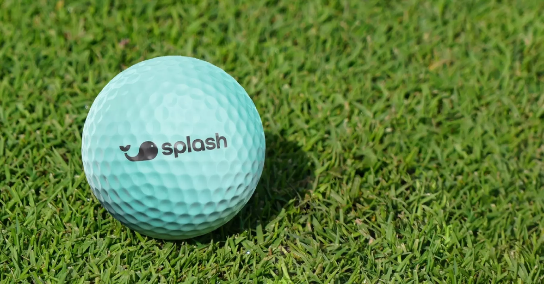 Overcoming the Fear of Change: Five Reasons to Test the Waters with ...