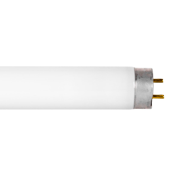 Ledvance Sylvania Linear Fluorescent T8 OCTRON VIVID VALUE ECOLOGIC ...