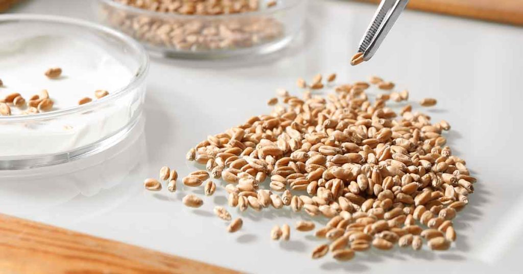 How To Successfully Germinate Seeds for Hydroponics | Blog | Commercial Lighting