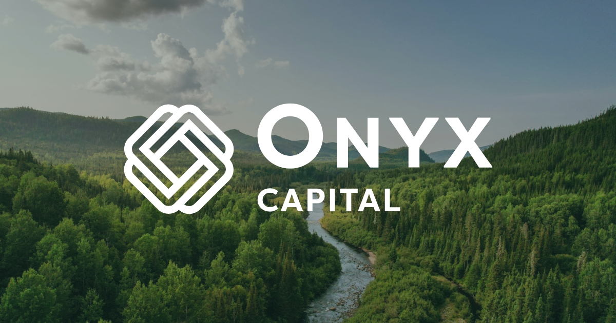 Onyx Capital - Private Equity Investments