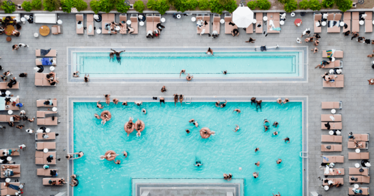 A community for the constantly curious. | X Phoenix