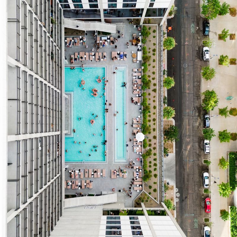 A community for the constantly curious. | X Phoenix