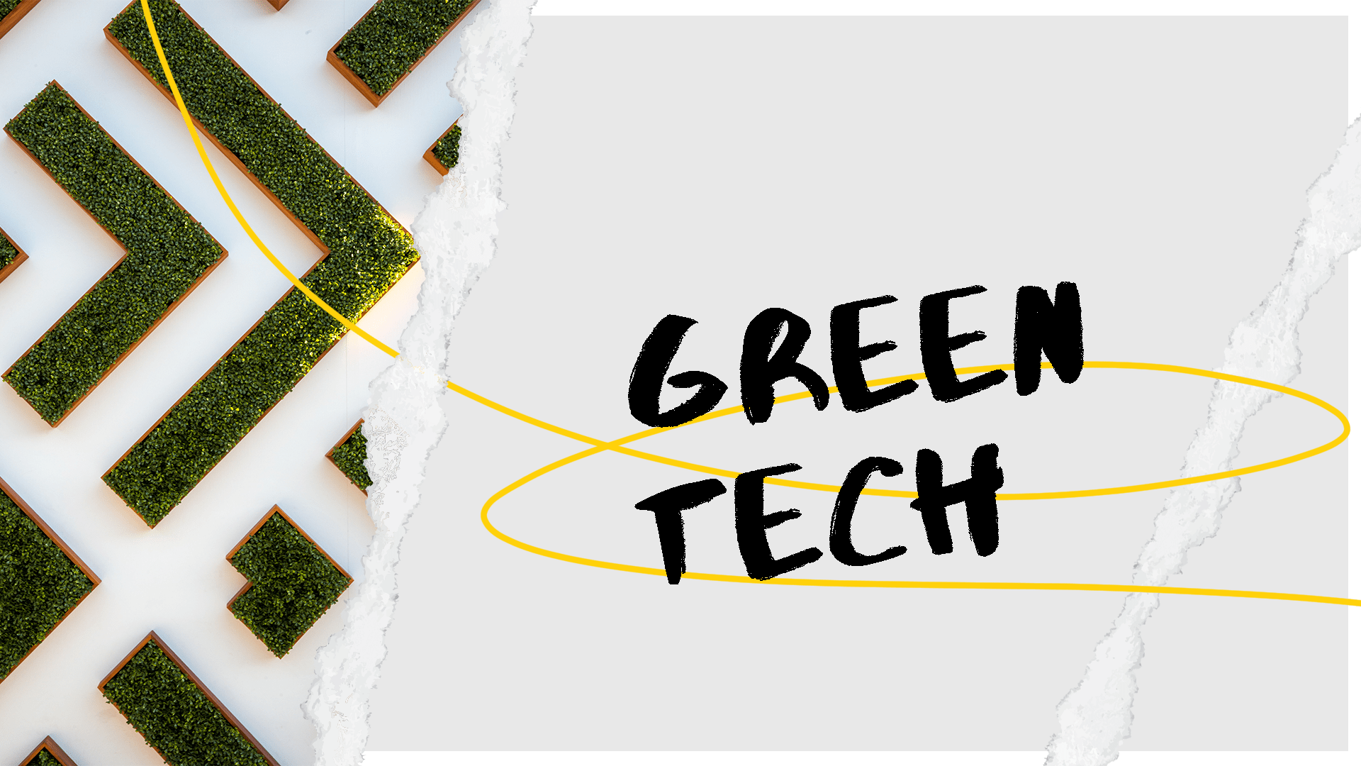 9 Great greentech apps we love right now | RebelDot
