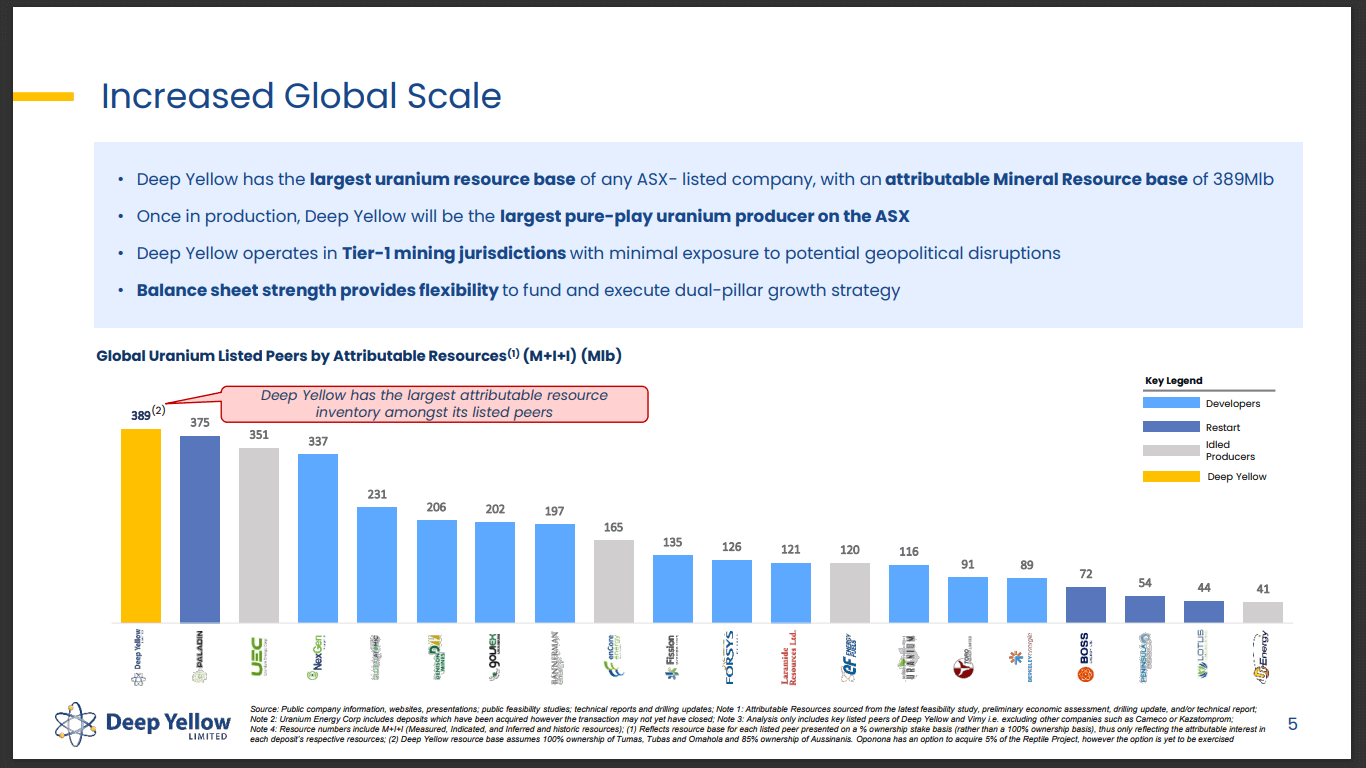 Deep Yellow (ASX: DYL) - World Nuclear Association (WNA) Fireside Chat ...