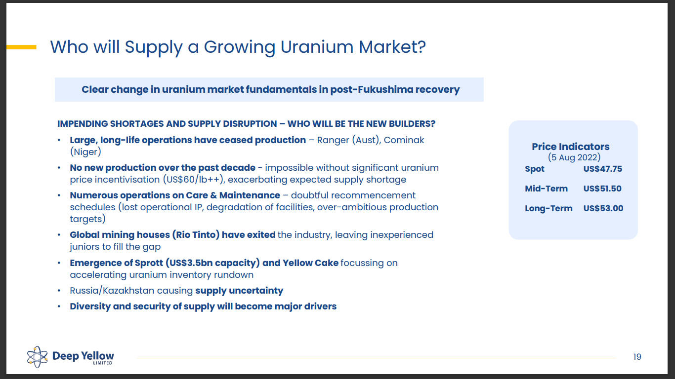 Deep Yellow (ASX: DYL) - World Nuclear Association (WNA) Fireside Chat ...