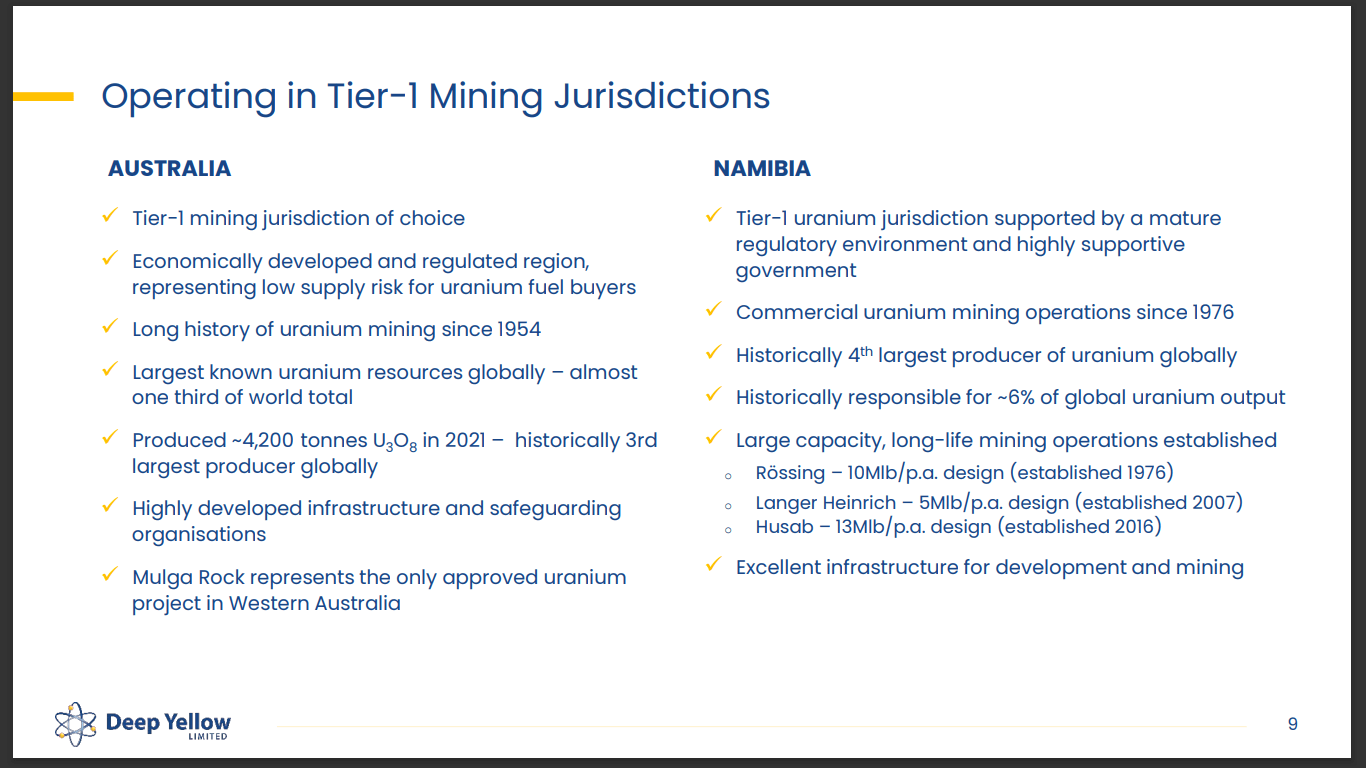 Deep Yellow (ASX: DYL) - World Nuclear Association (WNA) Fireside Chat ...
