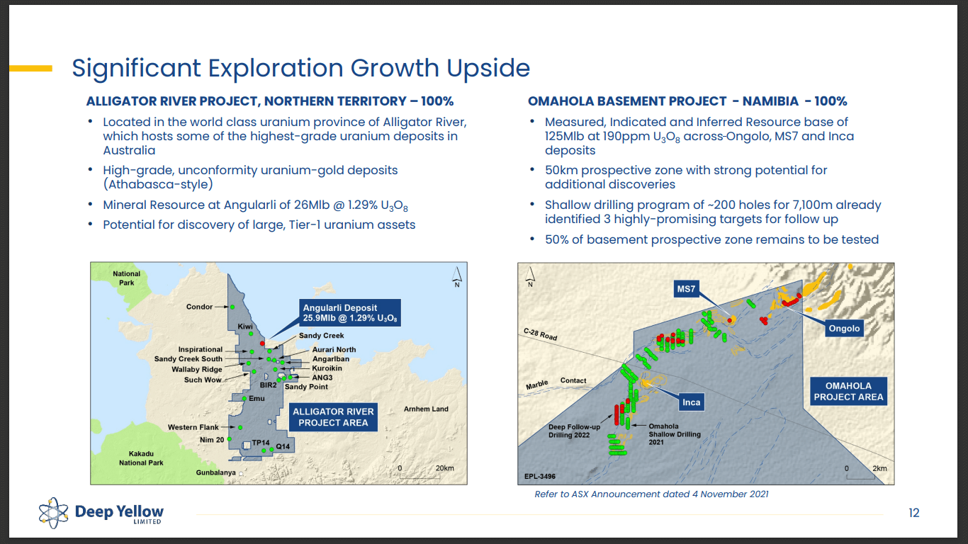 Deep Yellow (ASX: DYL) - World Nuclear Association (WNA) Fireside Chat ...