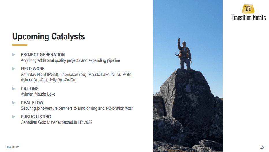 Transition Metals (XTM) - Sustainable Prospect Generator - Article ...