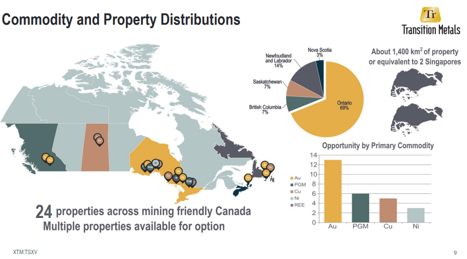 Transition Metals (XTM) - Sustainable Prospect Generator - Article ...