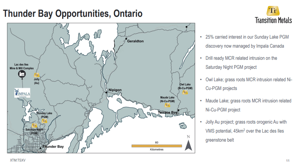 Transition Metals (XTM) - Sustainable Prospect Generator - Article ...