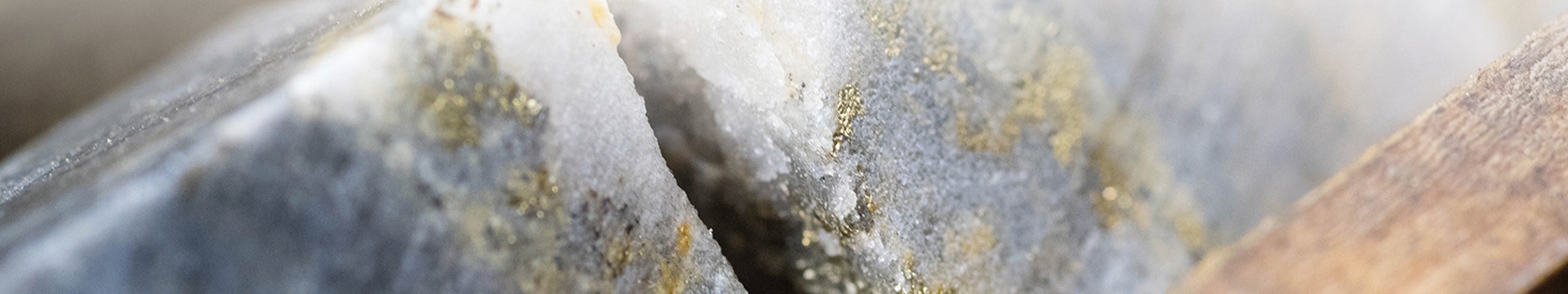 Explore First Mining Gold at Crux Investor | Crux Investor