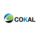 Explore Cokal Limited at Crux Investor | Crux Investor