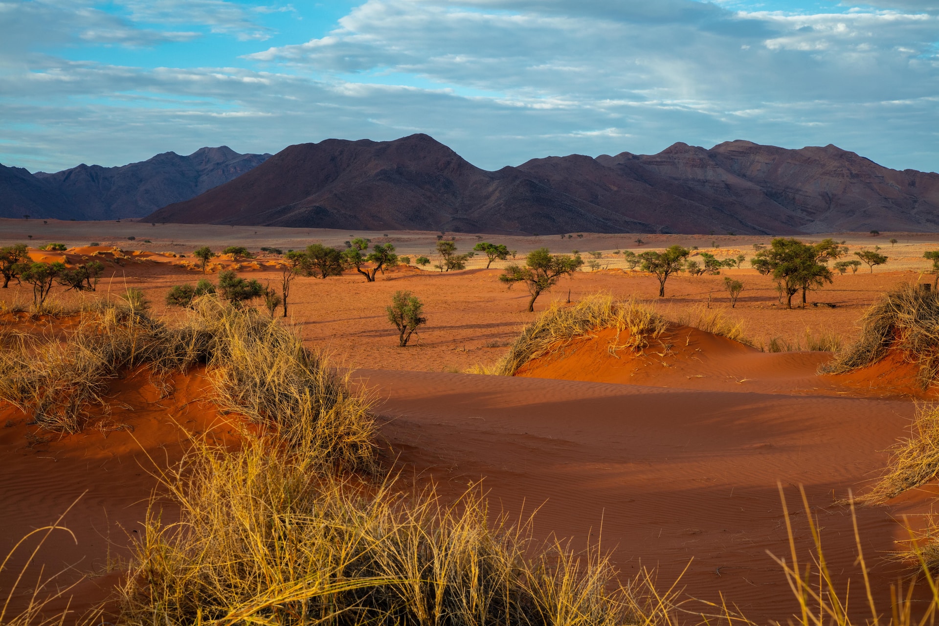 Koryx Copper Charges Ahead - Upgrading Giant Namibian Copper Project to ...