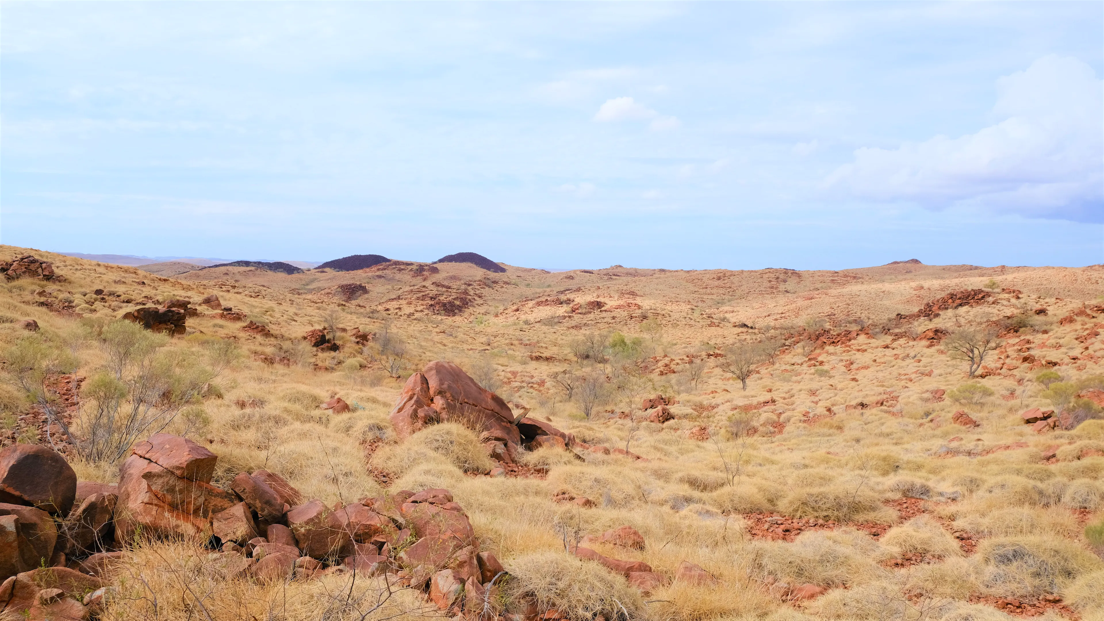 Azure Minerals Makes “Spectacular” Lithium Discovery in Australia ...