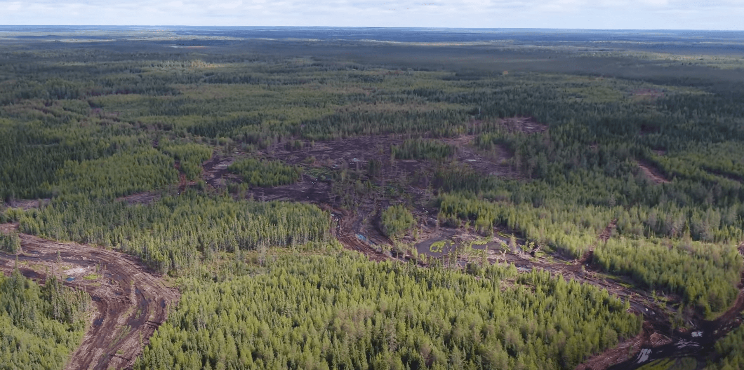 Canada Nickel Makes New Discovery at Mann Northwest Property - Article ...