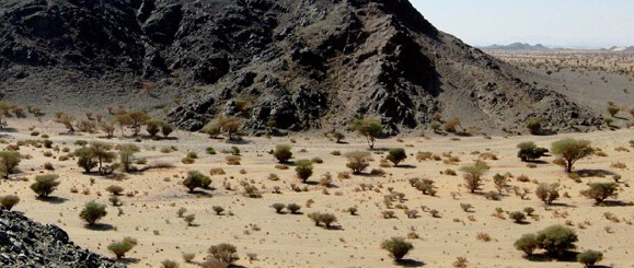 KEFI Gold & Copper Primed for Growth as Ethiopia Modernizes Mining ...