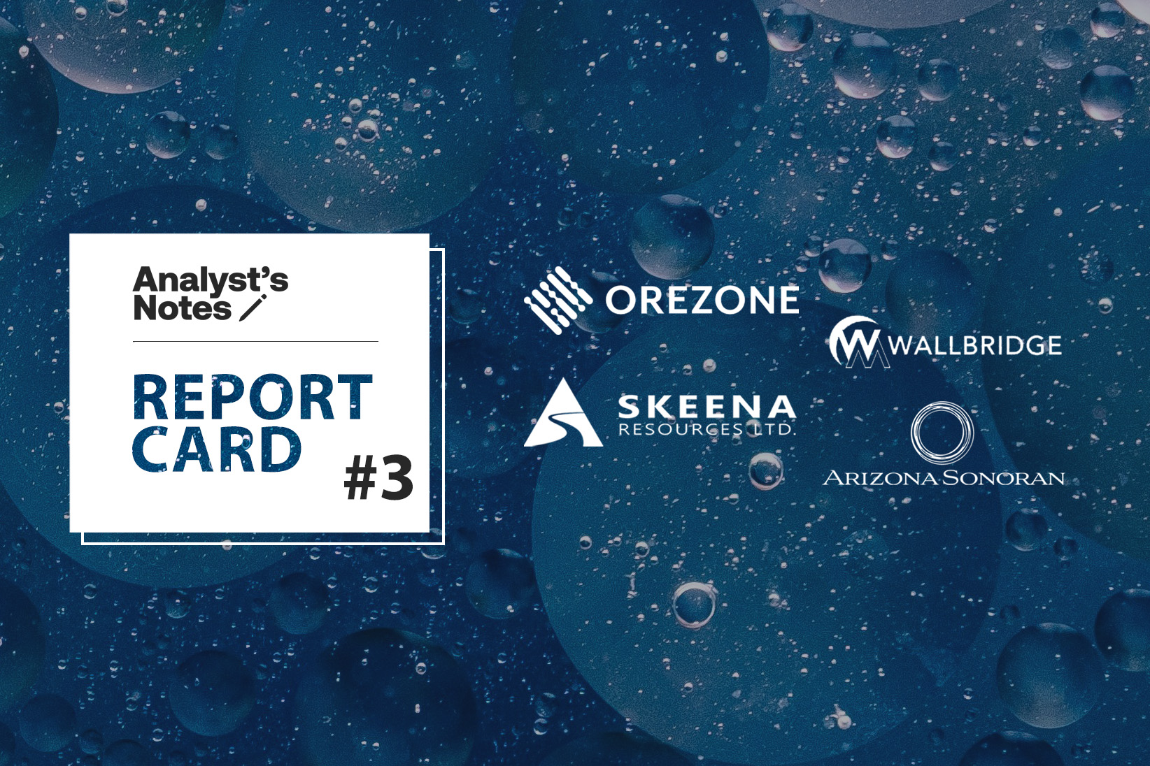 Report Card and Learnings Part 3: Are Skeena, Wallbridge, Orezone ...