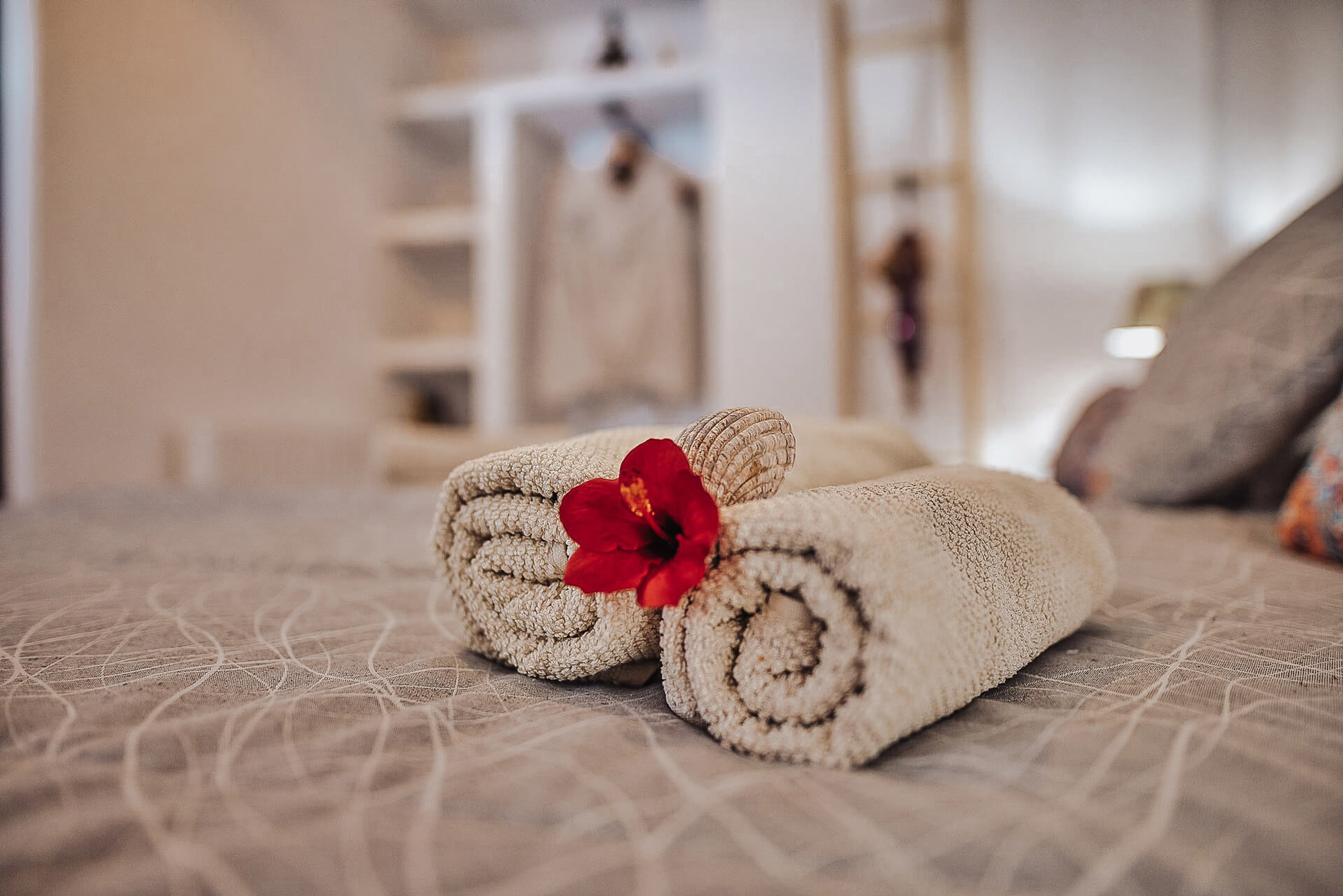 Double Room Planeta | Rancho Los Lobos