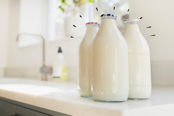 Modern Milkman: Ledgy Customer Story