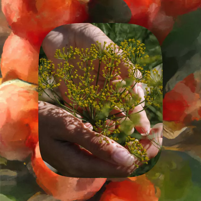 Fruitful – Finances Figured Out for You, Get on Track in 30 Days