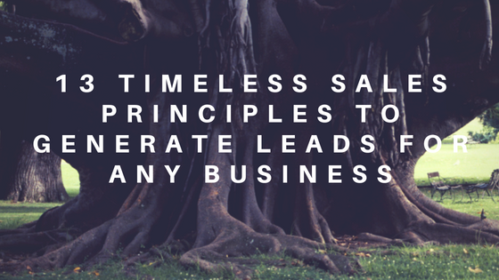 13 Timeless Sales Principles to Generate Leads for Any Business ...