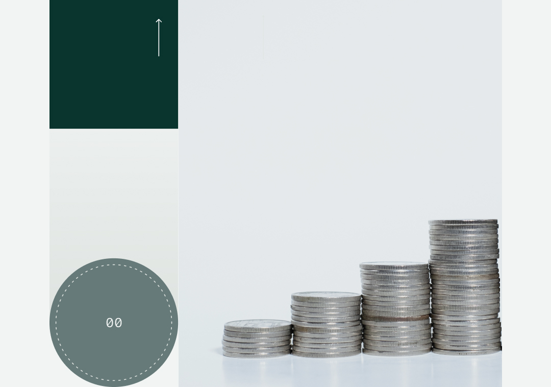 Active Investment Management SaaS for Issuers | vestr