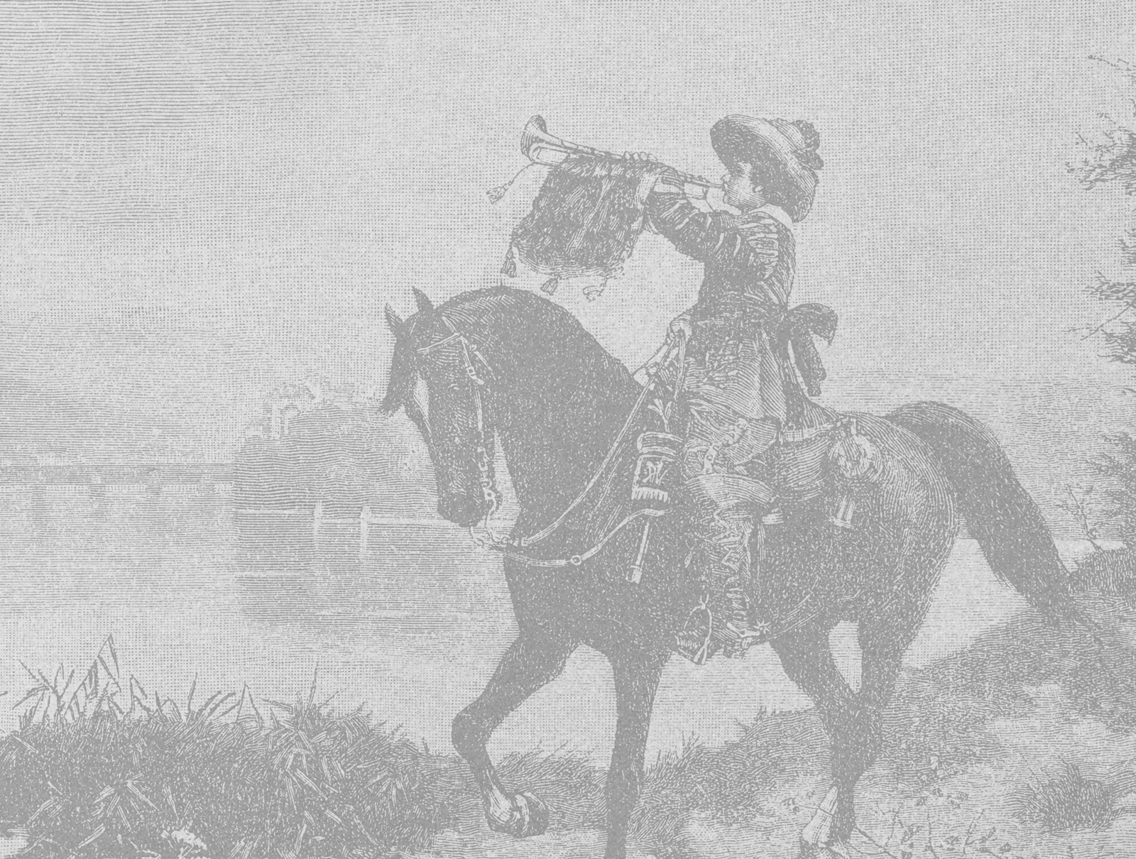 Volume Brands | Brave New Spirits