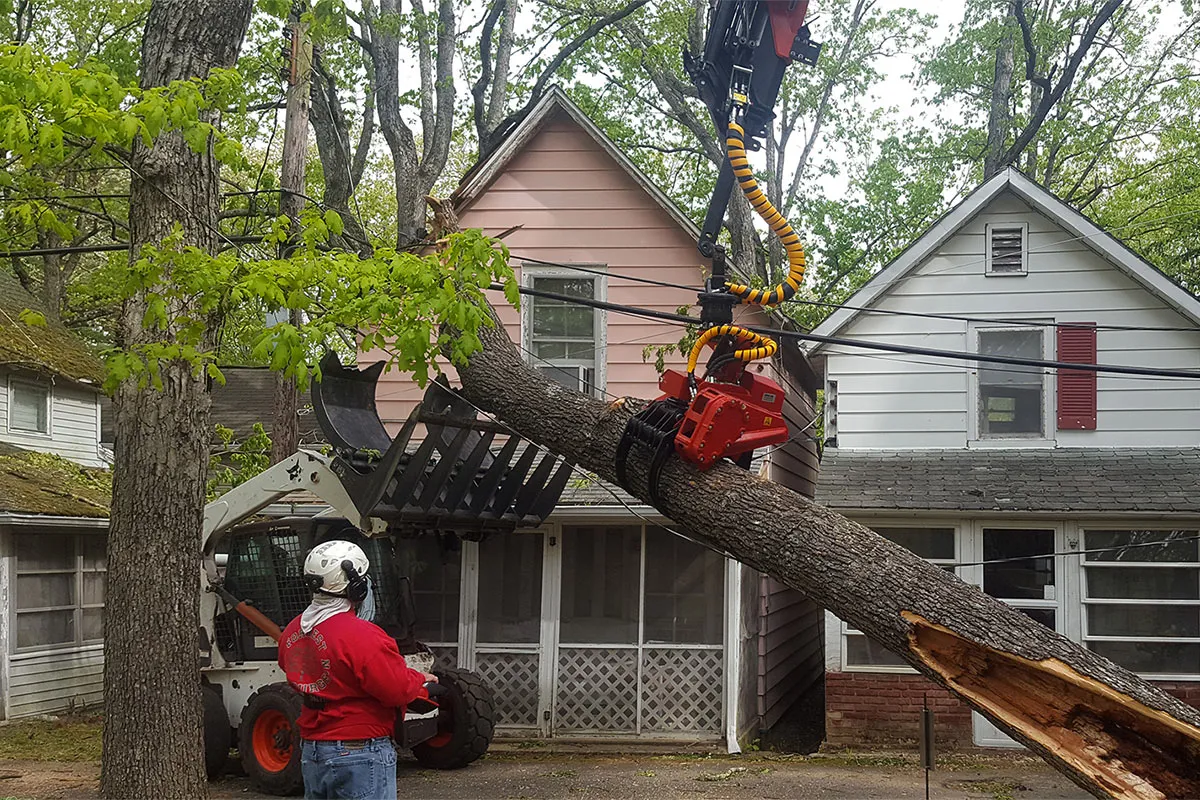 Residential & Commercial Tree Services Williamstown NJ | Forrest Tree ...