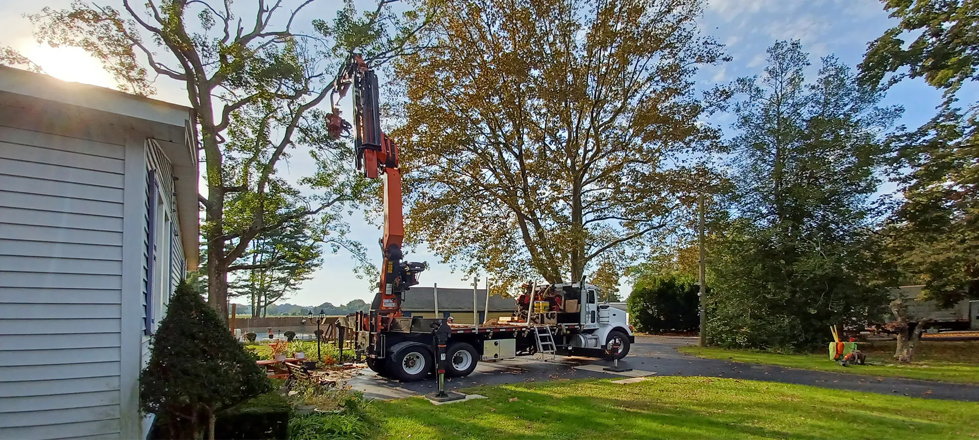 Residential & Commercial Tree Services Williamstown NJ | Forrest Tree ...
