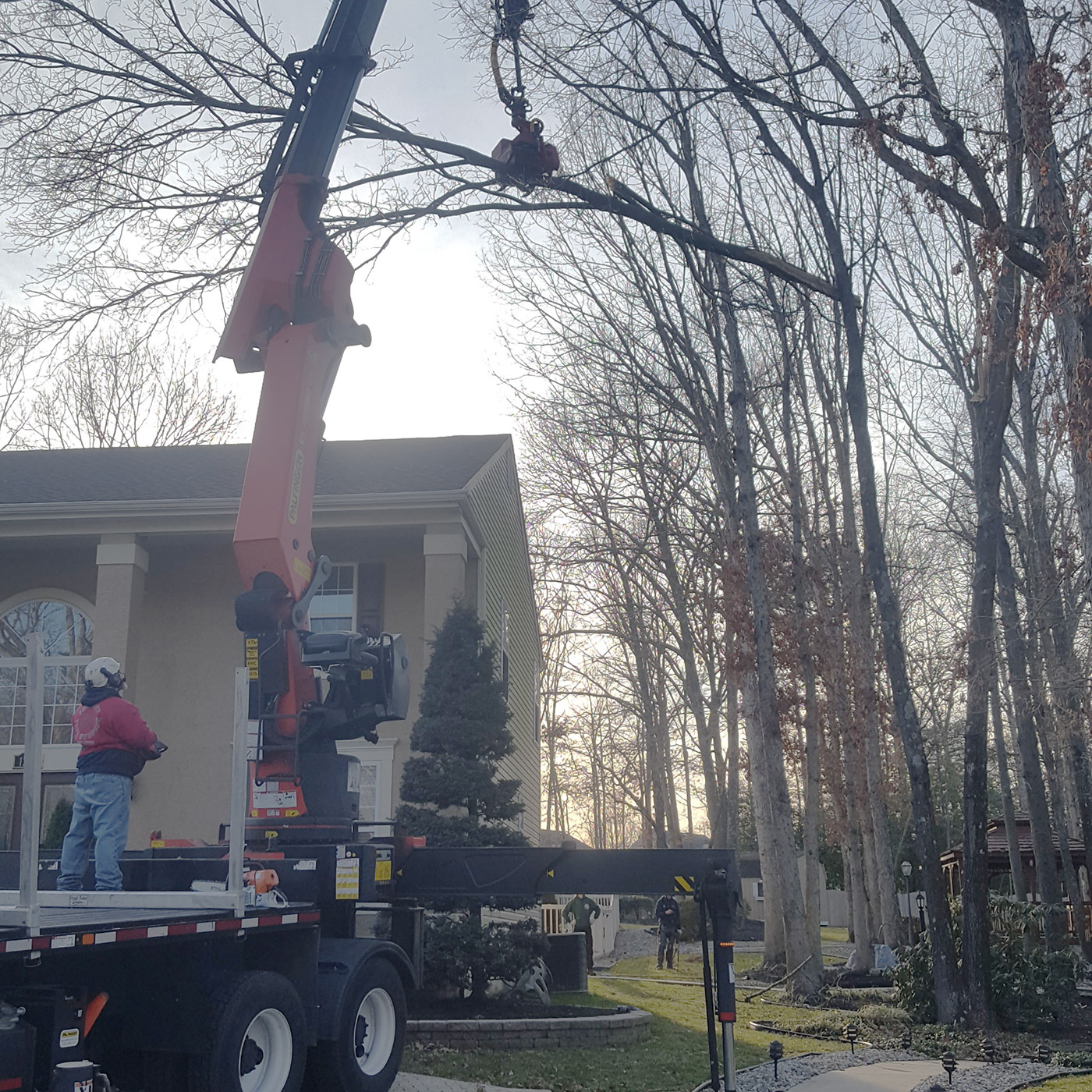 Tree Service Company Williamstown NJ | Forrest Tree Surgeon