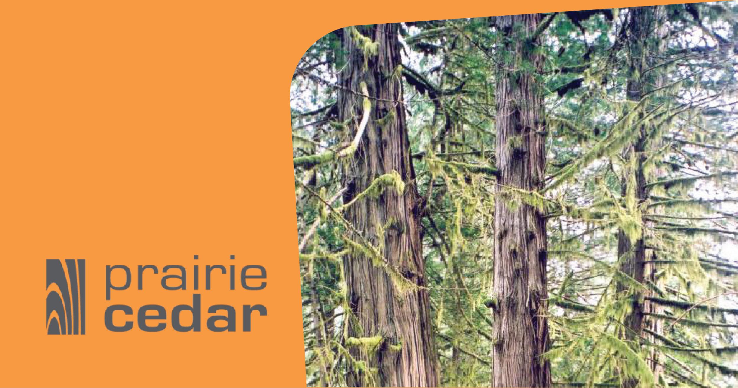 High Quality Cedar Building Materials | Prairie Cedar