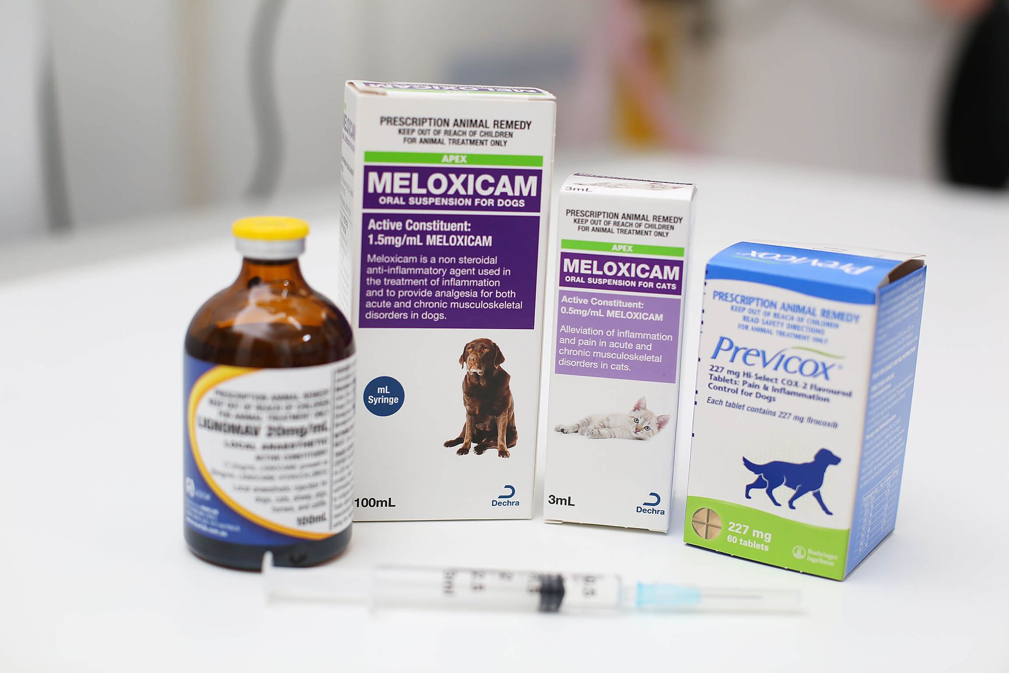 Campbelltown North Animal Hospital | AVA Accredited Vet & Pet Care