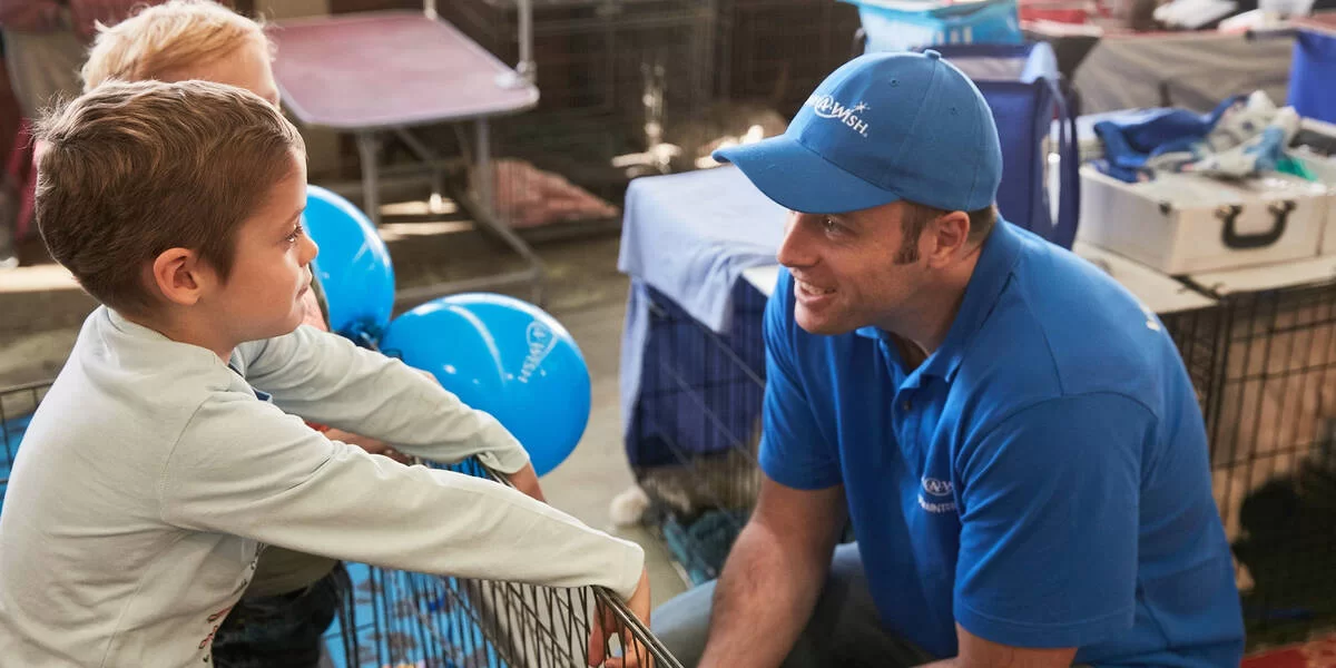 About us - Helloelectrical.com.au