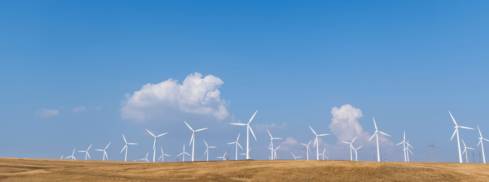 Neos Partners | Industry specialists. Built on partnership.