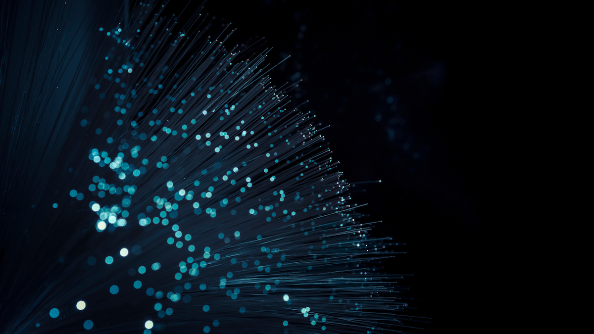 Global Student Flows | Mapping and Forecasting International Students