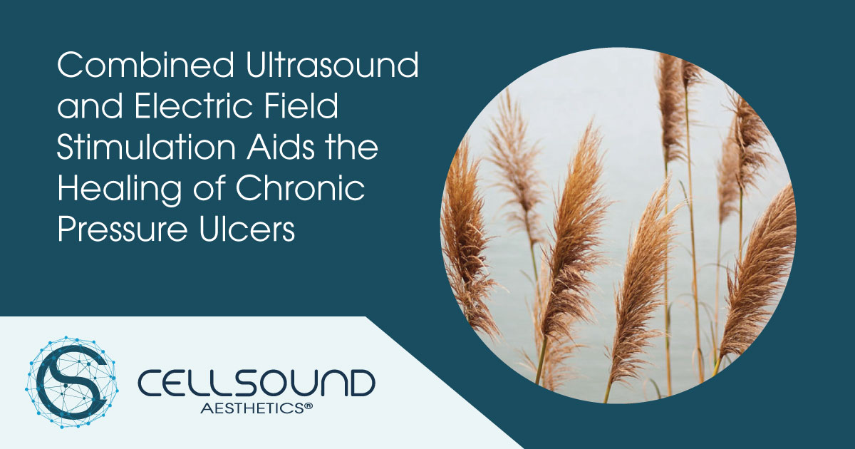 Combined Ultrasound and Electric Field Stimulation Aids the Healing of ...