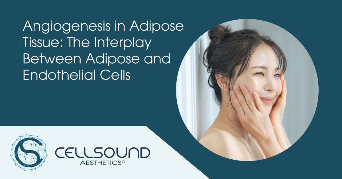 Angiogenesis in Adipose Tissue: The Interplay Between Adipose and ...