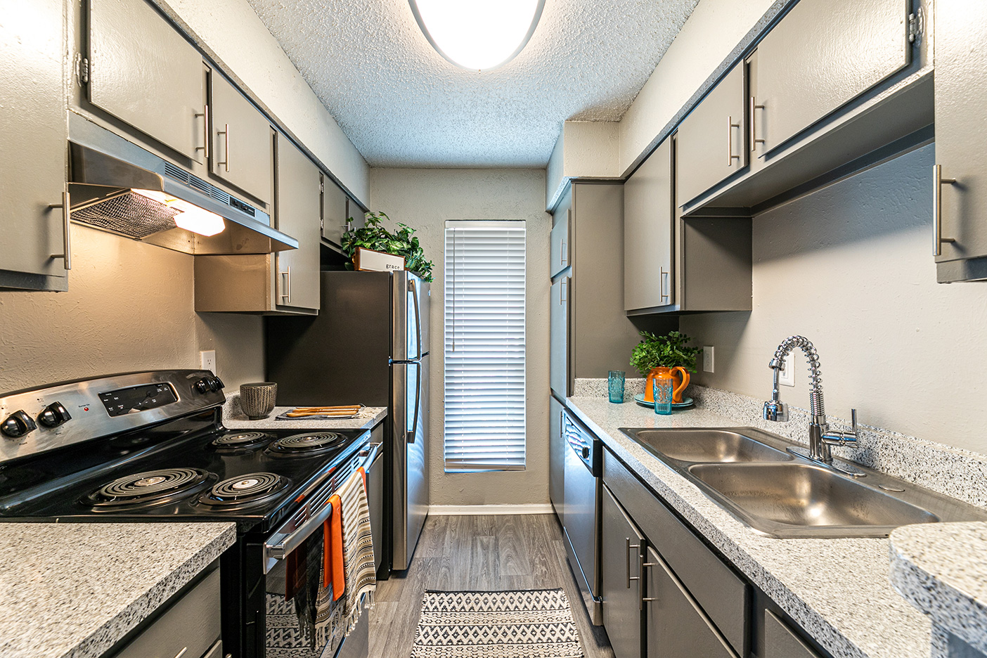 Asher Park - Touro Company