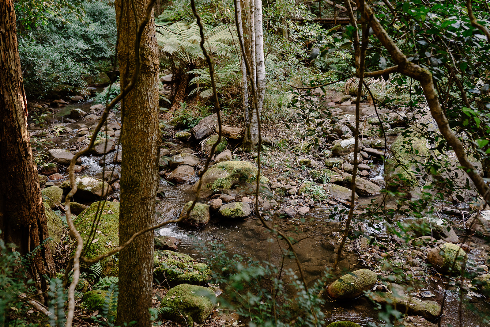 Explore | Rea Rea Lodge