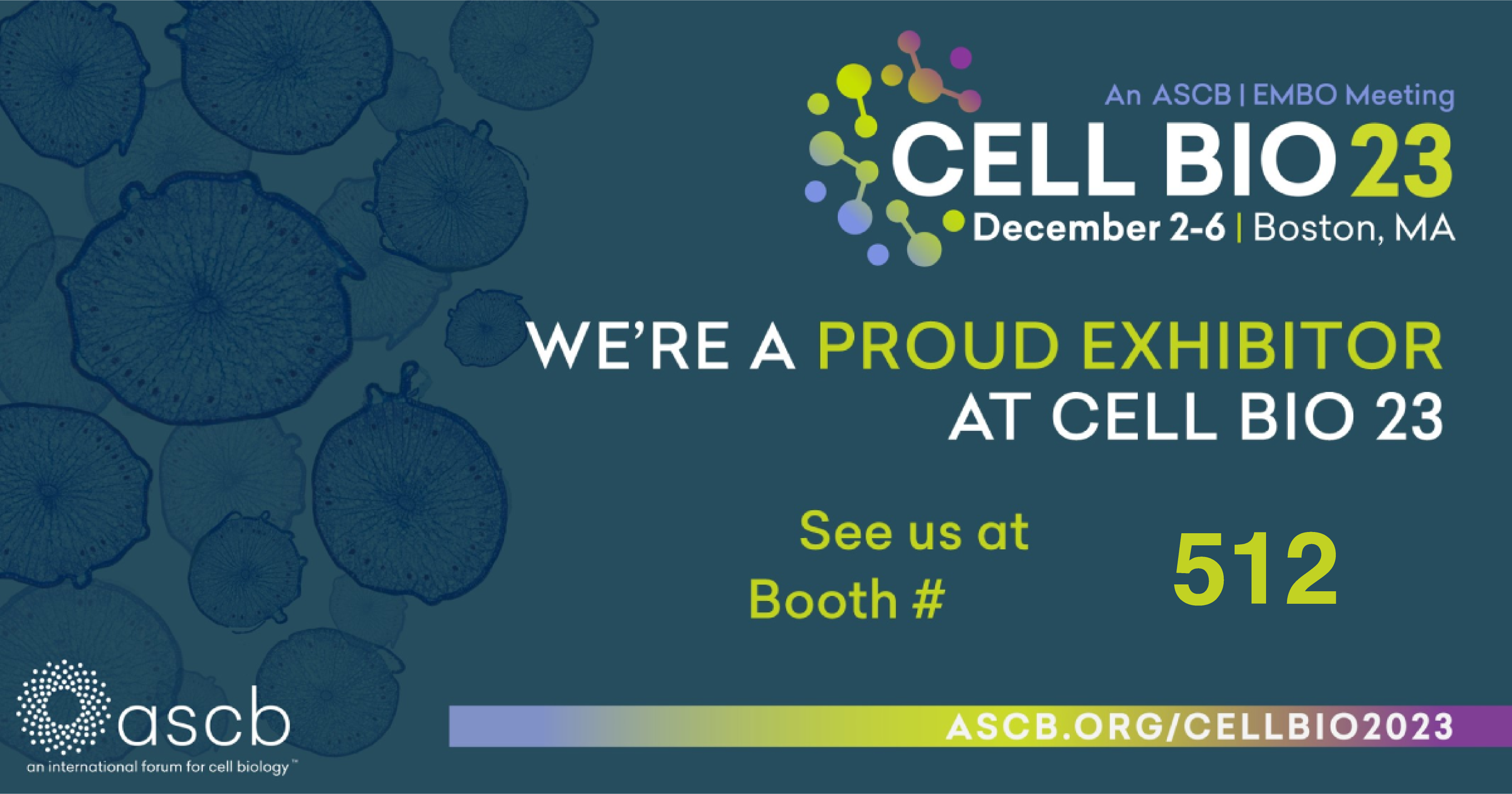 DHO will be at Cell Bio 2023, Booth #512